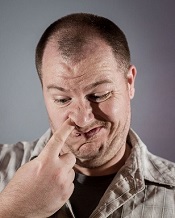 Assignment Portal :: WDD 230 :: Lewis Lockhart